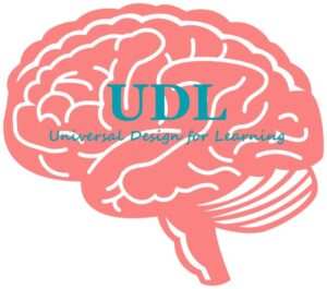 UDL (Universal Design for Learning) and the Learning Brain - VariQuest ...