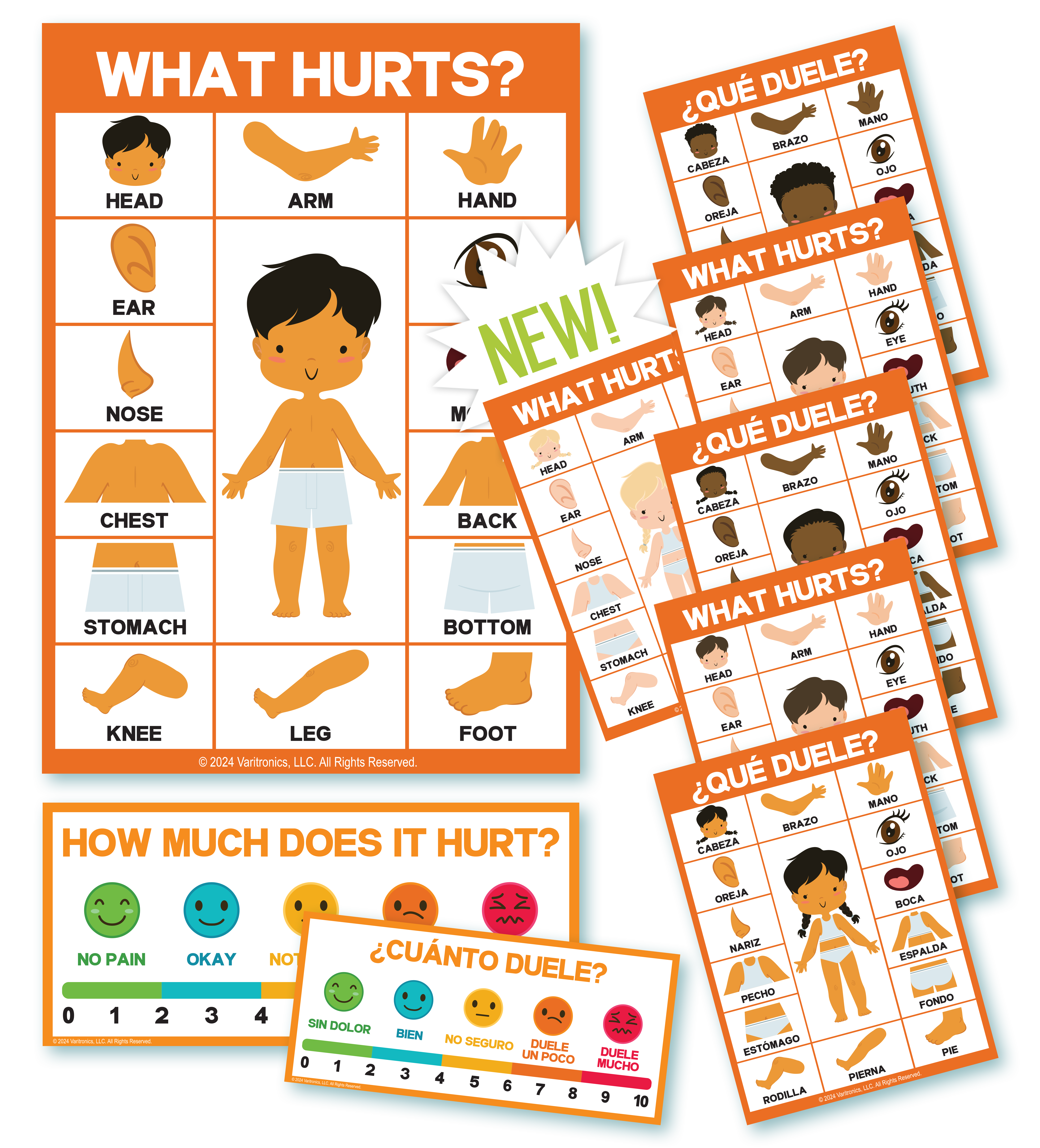 Where Does it Hurt? Body Pain Chart & Pain Scale - VariQuest Resource ...